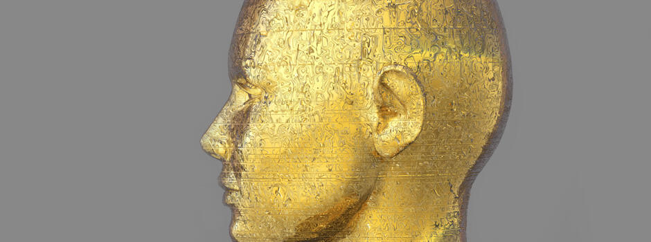 Feldentwicklung | Seminare | Leistungen