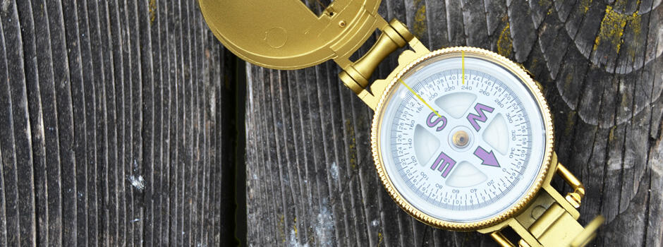 Feldentwicklung | Vorgehensweise | Leistungen